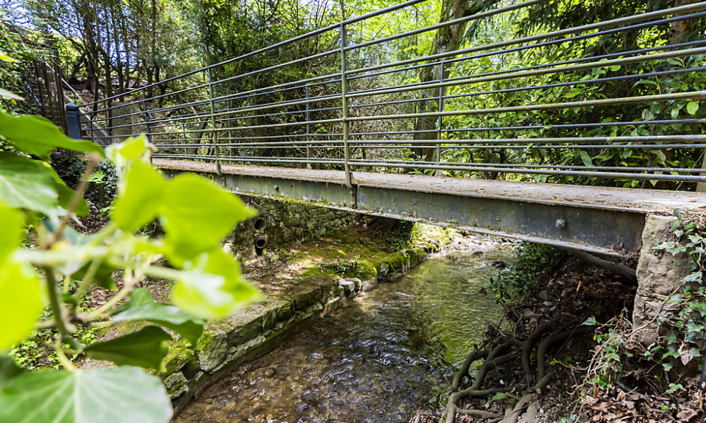 Une passerelle sur la Drize contestée dans les urnes à Troinex | Radio Lac